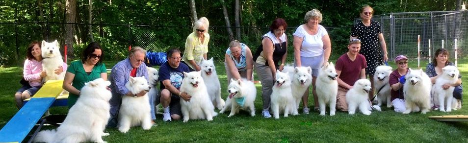 Monthly Meetings – Minuteman Samoyed Club, Inc.